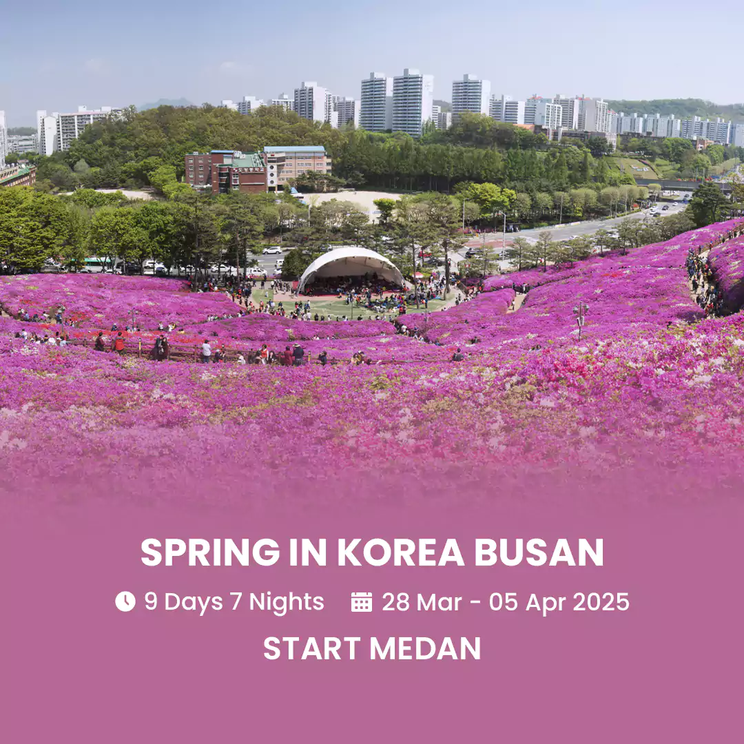 Tour Spring In Korea Busan 28 March 2025 | Angkasatour