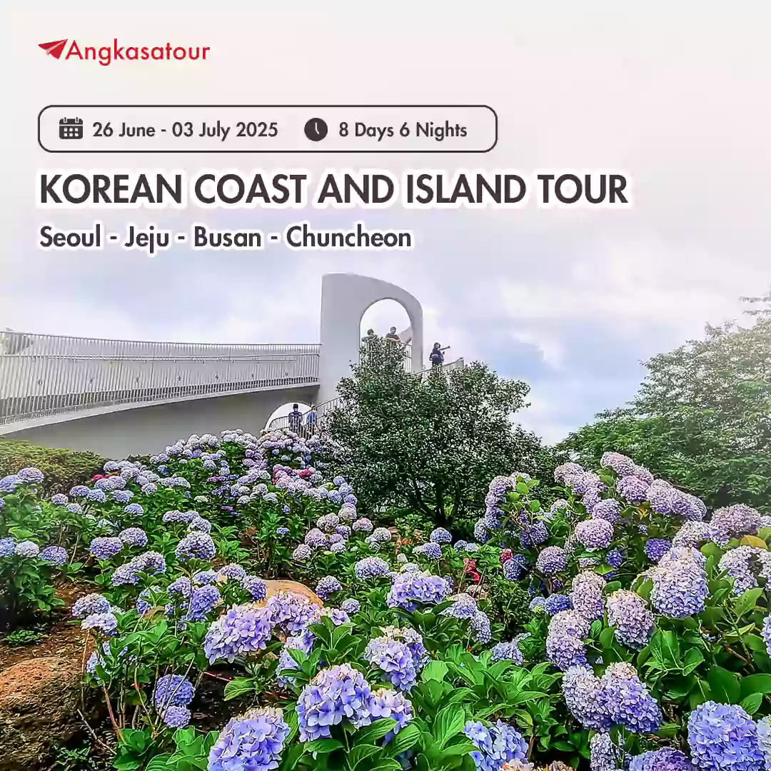 Tour Korea Jeju Summer Coast and Island | Angkasatour