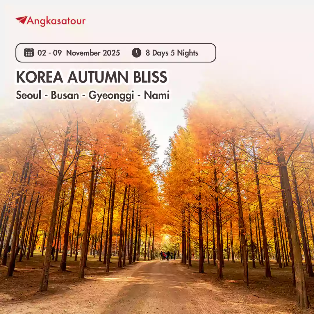 Tour Korea Autumn Bliss | Angkasatour