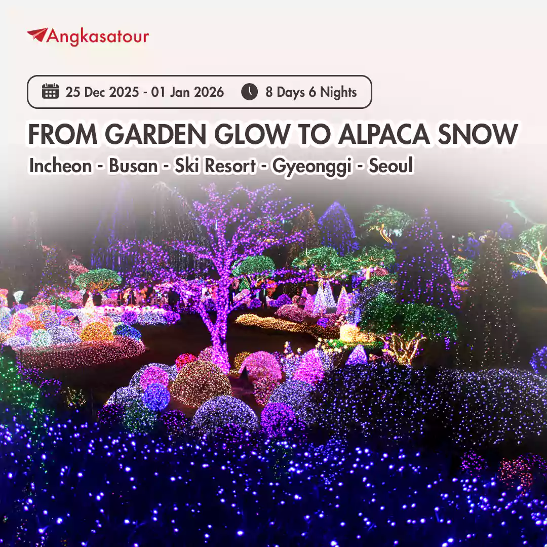 Tour Korea Busan: From Garden Glow to Alpaca Snow | Angkasatour